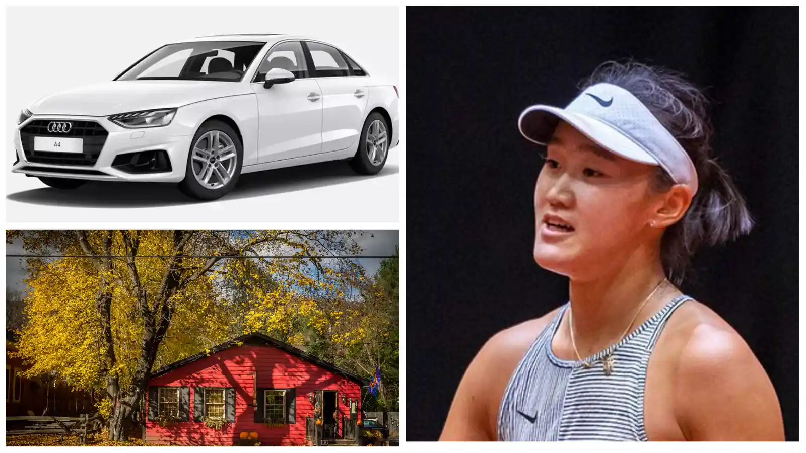 Wang Xiyu Net Worth 2024, Salary, Annual Income, Endorsements, Houses ...