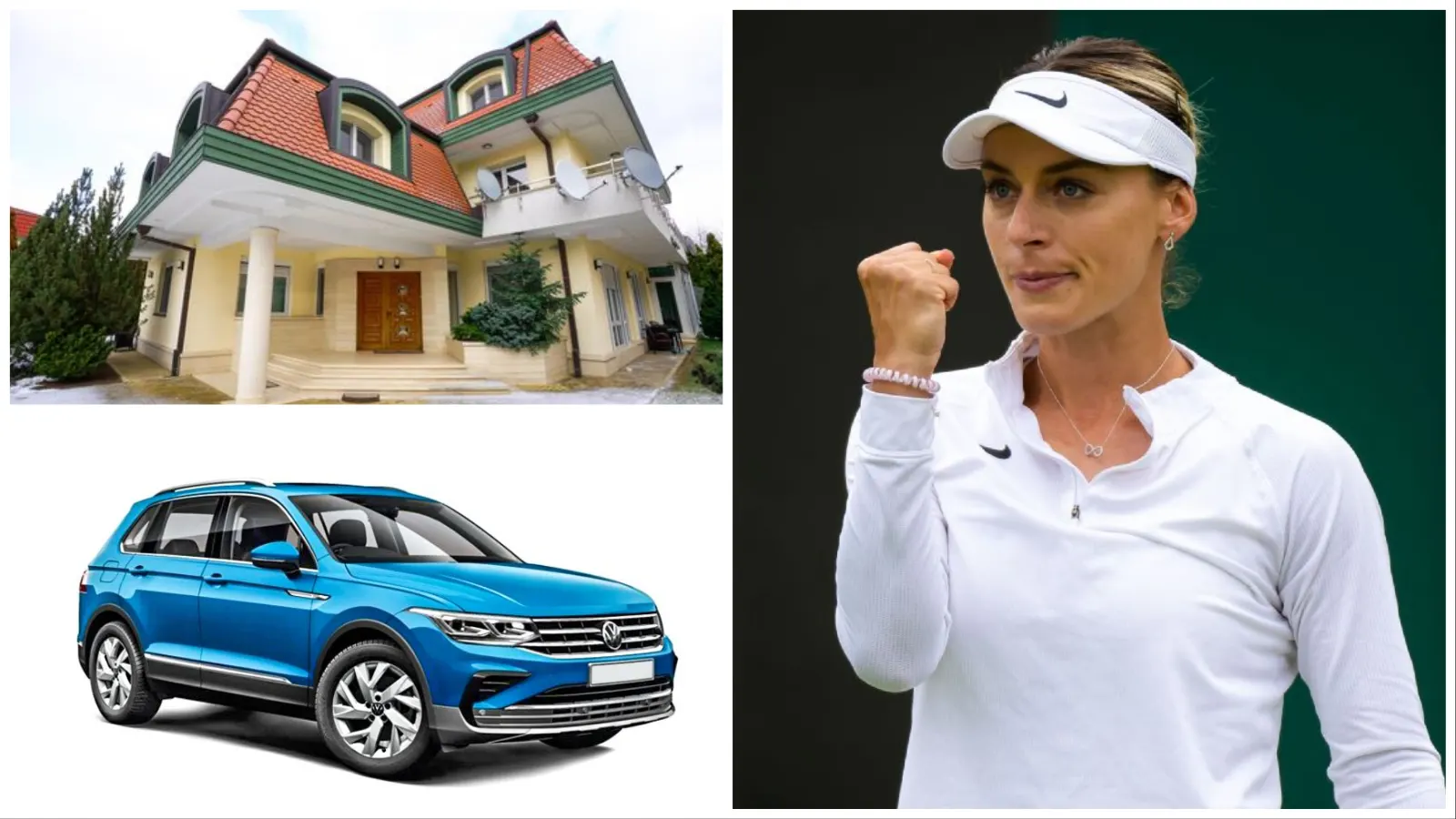 Ana Bogdan Net Worth 2024, Prize Money, Brand Endorsements, Properties ...