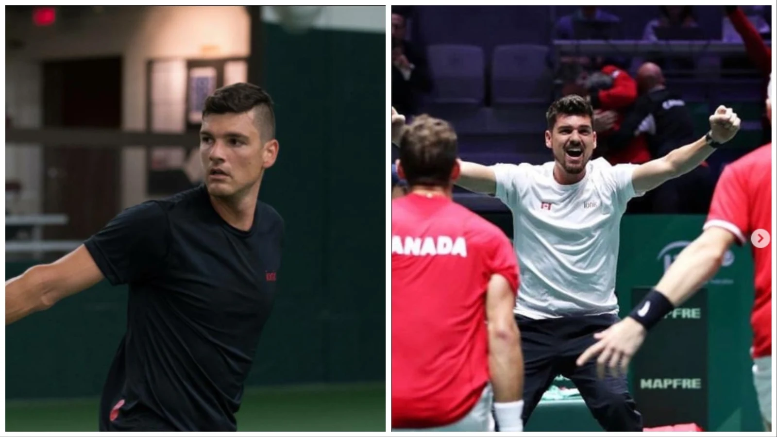 Frank Dancevic Net Worth 2024, Annual Income, Prize Money, Endorsements ...